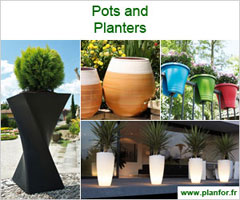 Pots and Planters