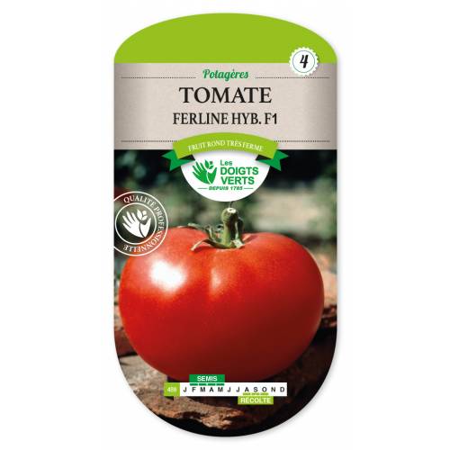 Tomato, 'Fandango hybride F1' : buy Tomato, 'Fandango hybride F1'