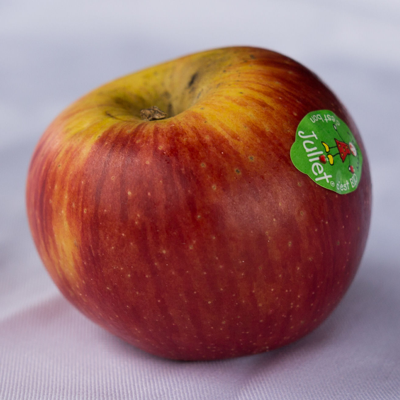 Apple tree 'Juliet' : buy Apple tree 'Juliet' / Malus pumila Juliet