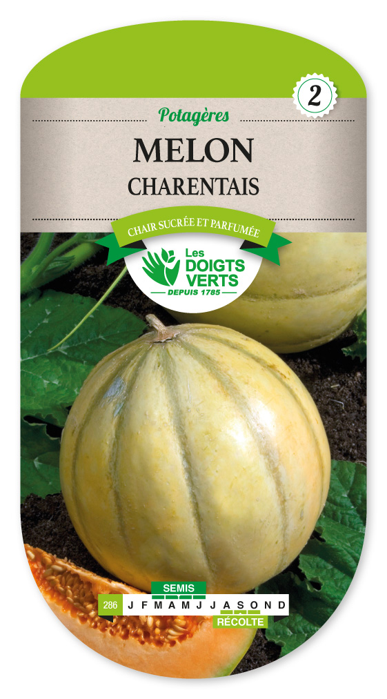 Charentais Melon : buy Charentais Melon
