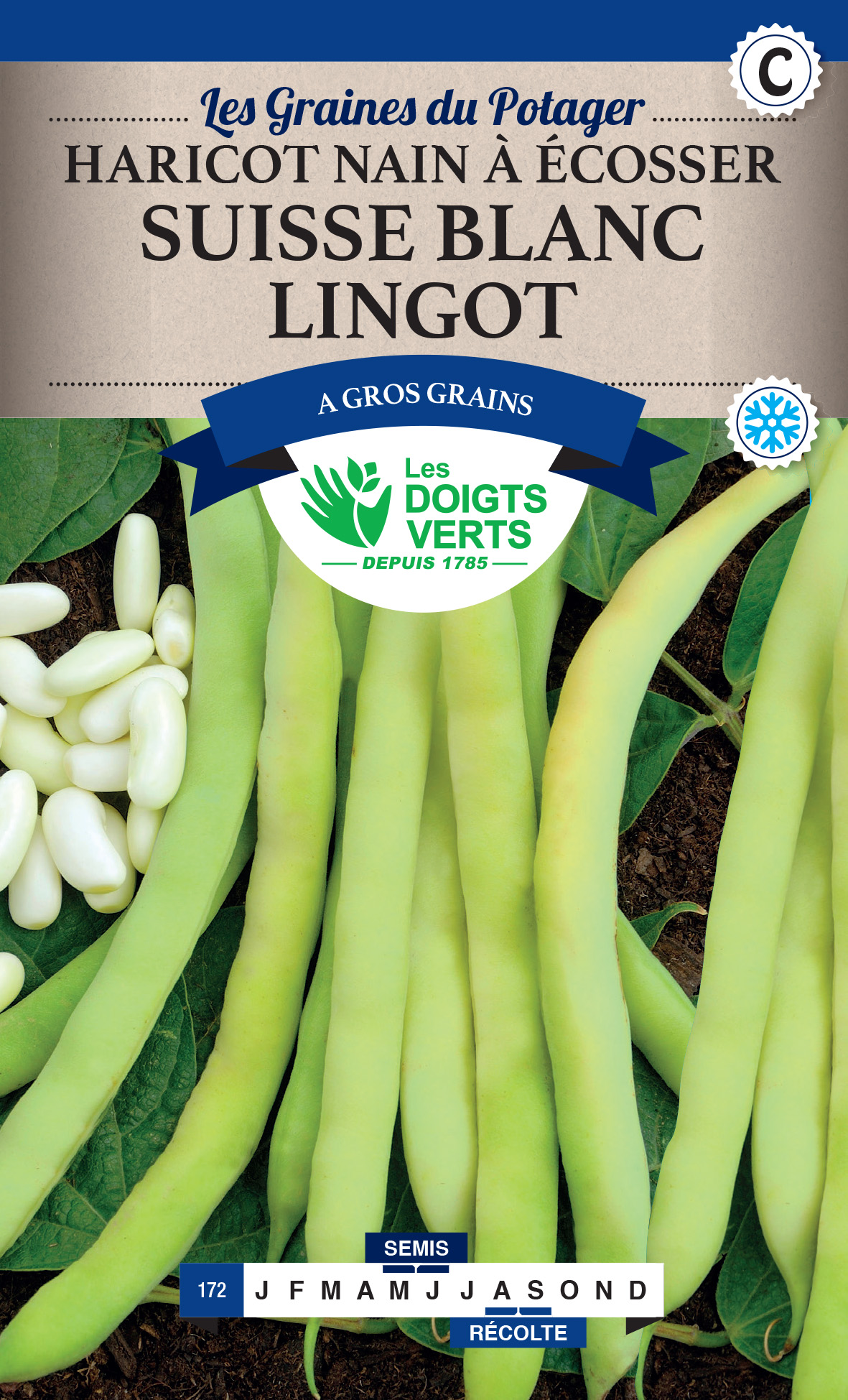 Dry Shelling Bean 'Lingot' : buy Dry Shelling Bean 'Lingot'