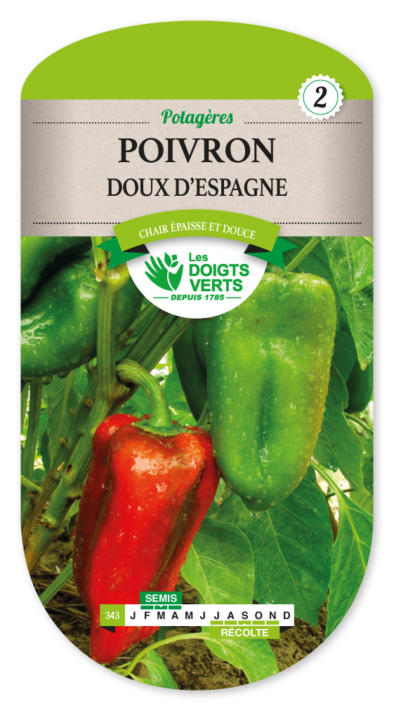 Spanish Pimento Sweet Pepper : buy Spanish Pimento Sweet Pepper