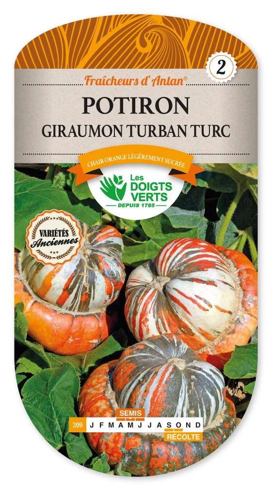 Squash Turk's Turban (Giraumon) : buy Squash Turk's Turban (Giraumon)