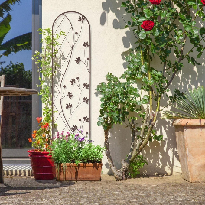 Design Metal Trellis : buy Design Metal Trellis