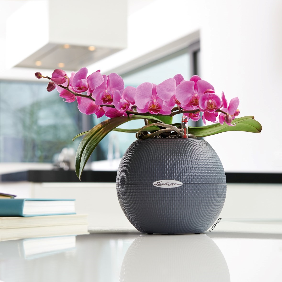 Puro Color - D.20 cm - Anthracite - LECHUZA : buy Puro Color - D.20 cm ...