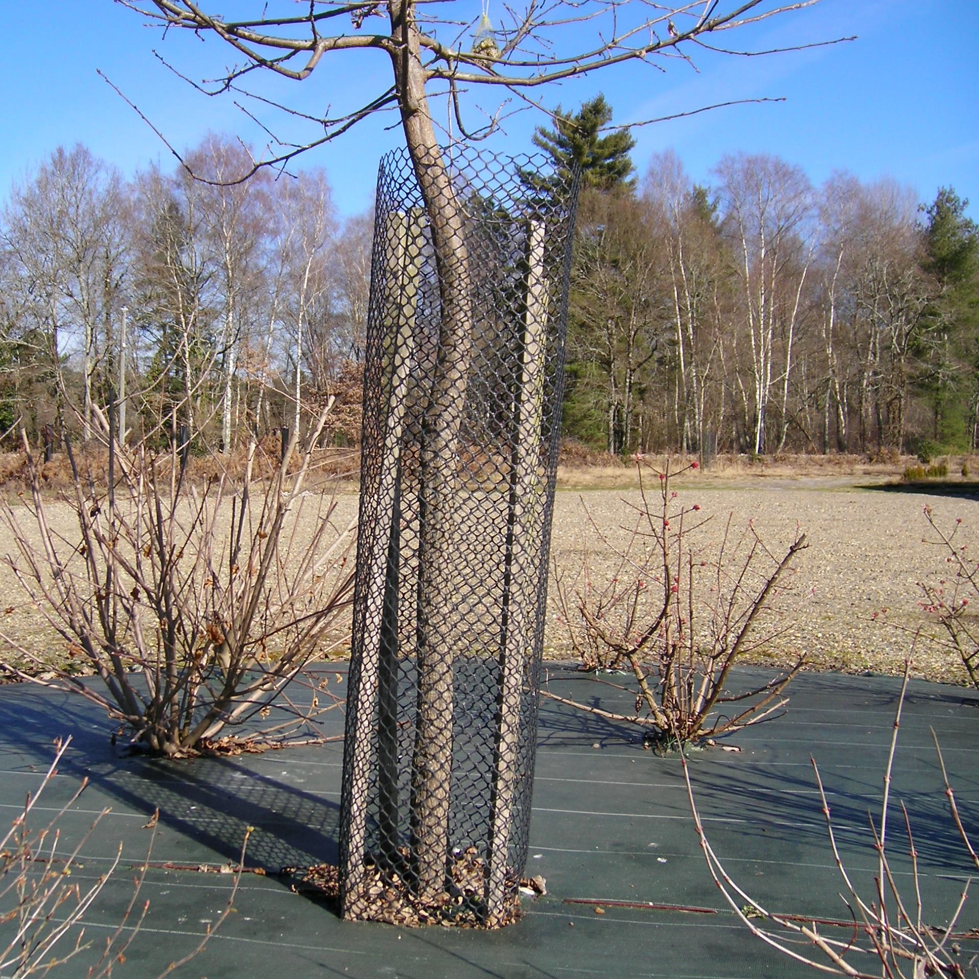 Protective Netting For Trees : buy Protective Netting For Trees