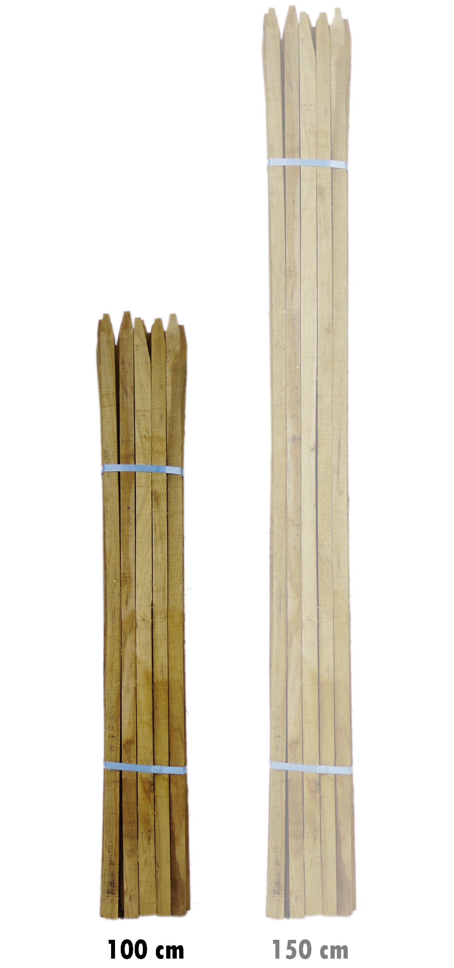 Chestnut Stake - 100 cm - 1m : buy Chestnut Stake - 100 cm - 1m